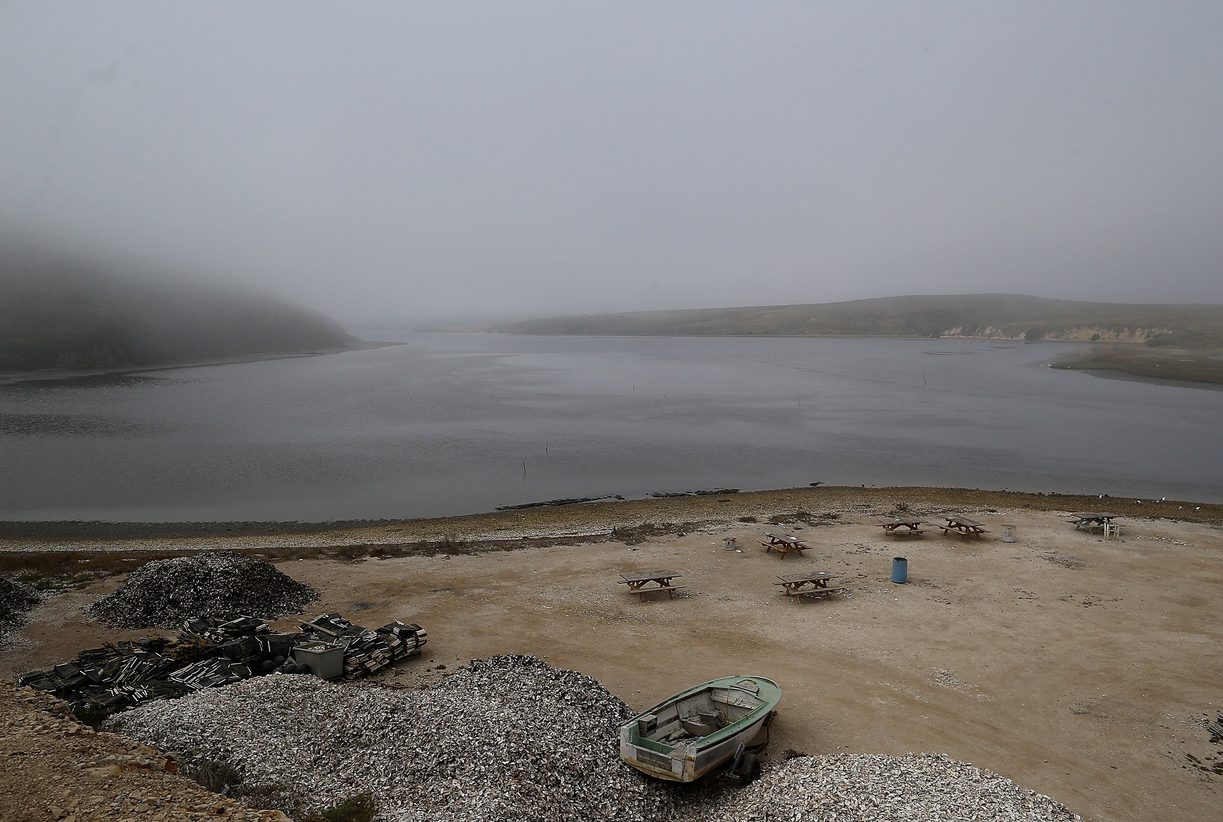 The Oyster Shell Game - Newsweek