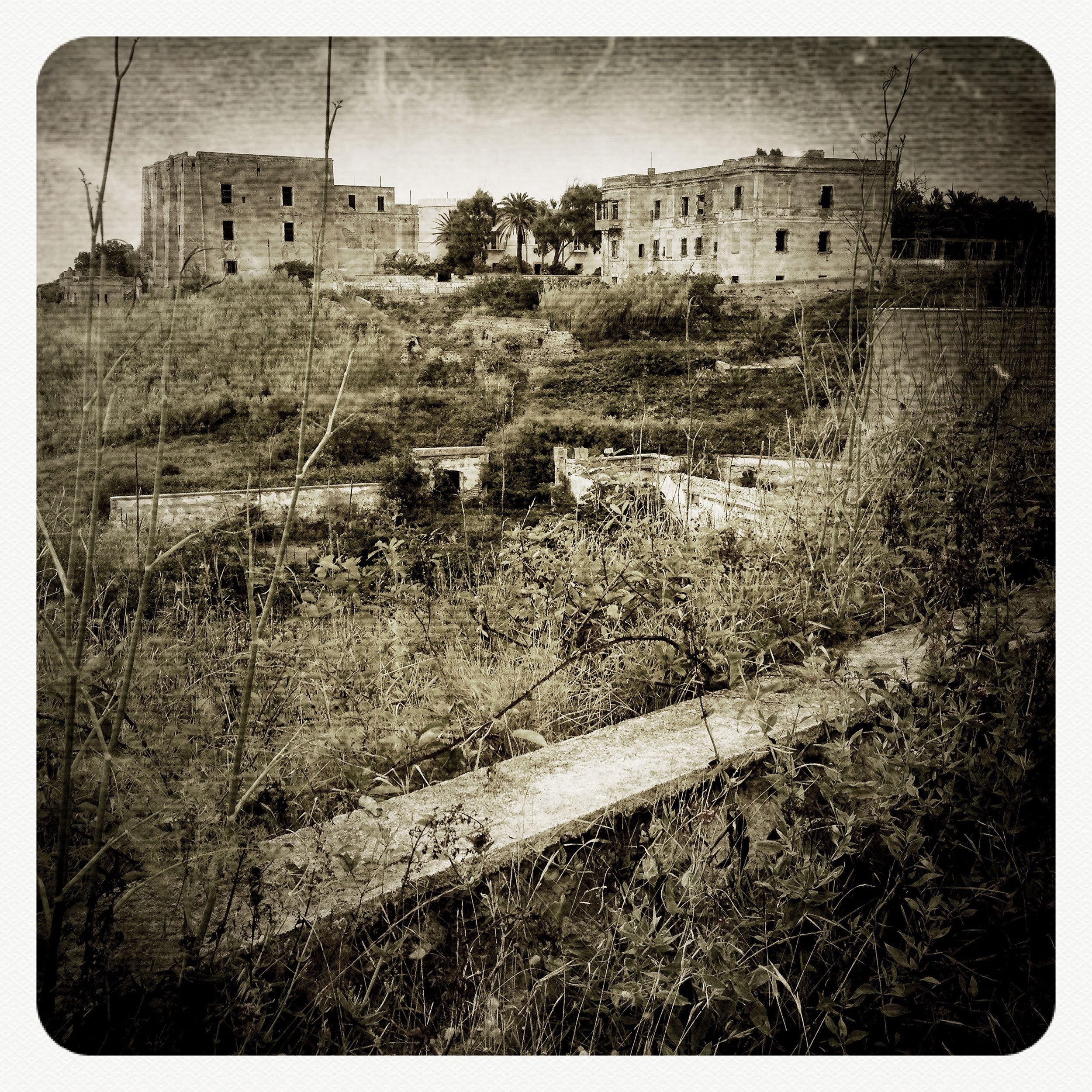 Coming to the Rescue of Italy's Ghost Towns - Newsweek