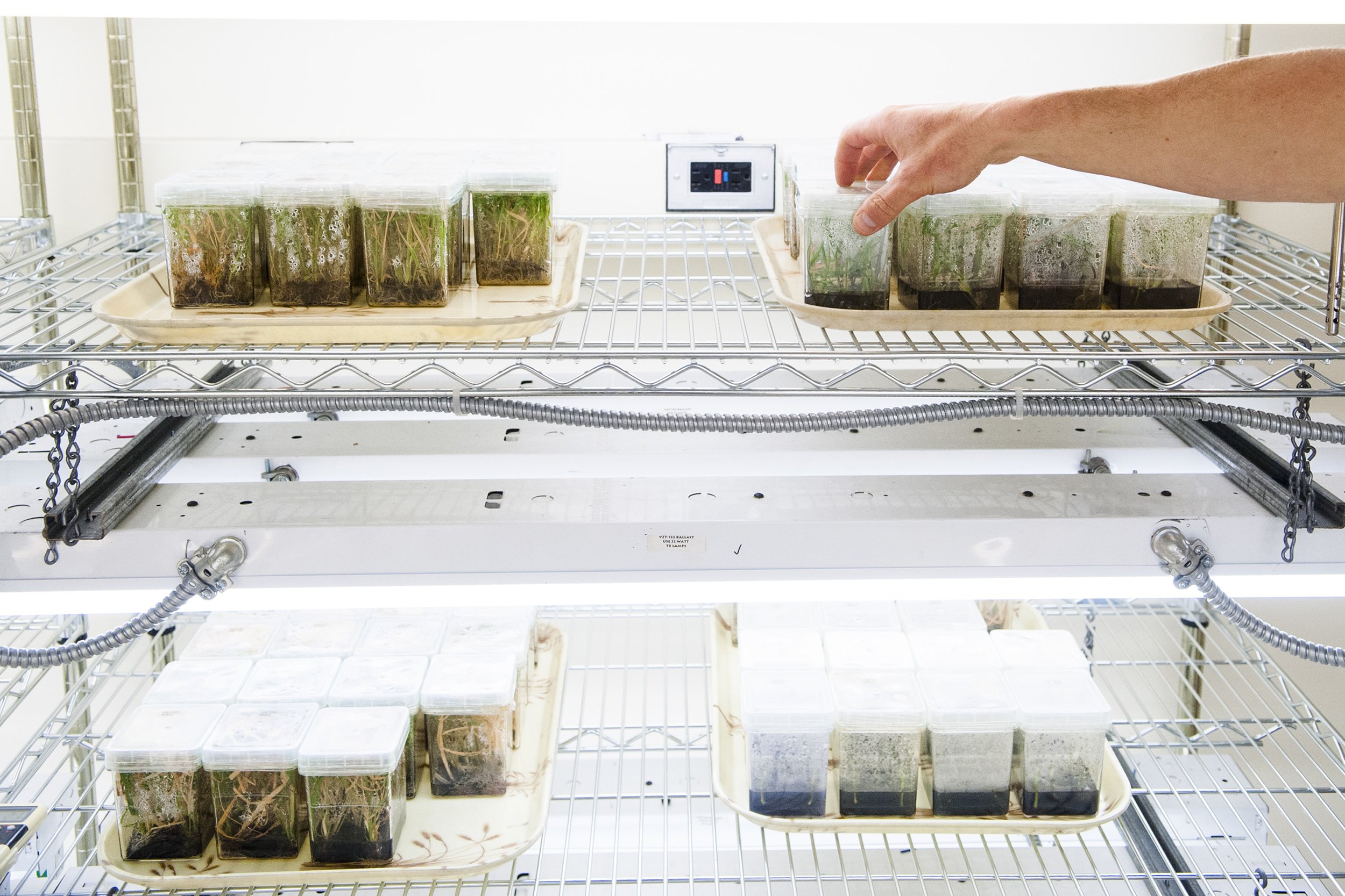 Breakfast in Post-Apocalypse America: Inside Colorado's Fort Knox of ...