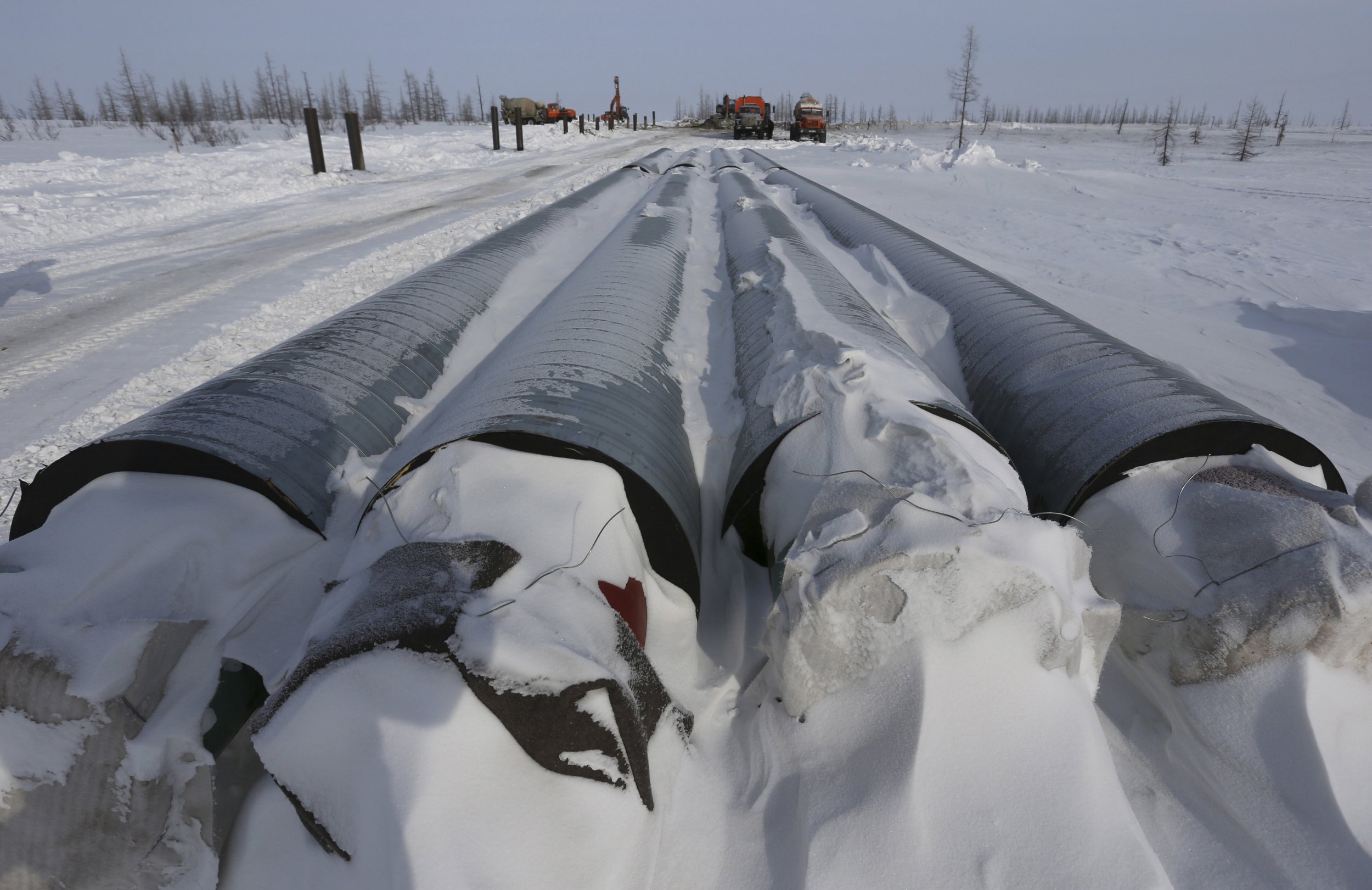 'No Decision' Taken To Freeze Turkish Stream, Says Russian Minister ...