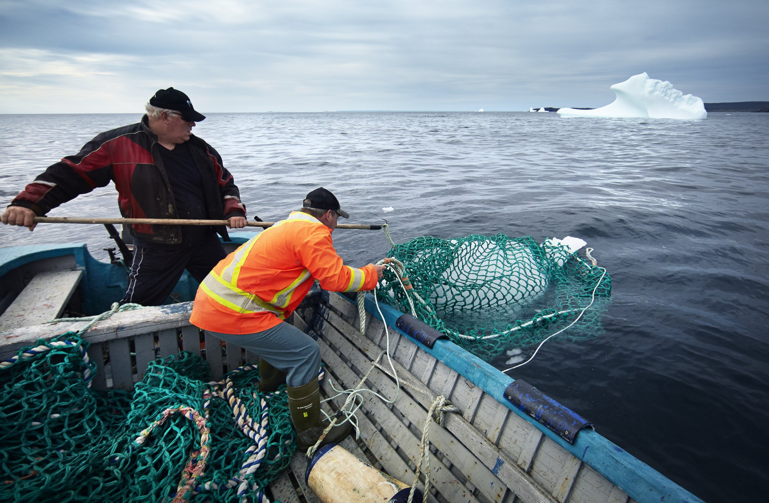 Iceberg Water, Used in Luxury Vodka, is Becoming a Lucractive Business ...