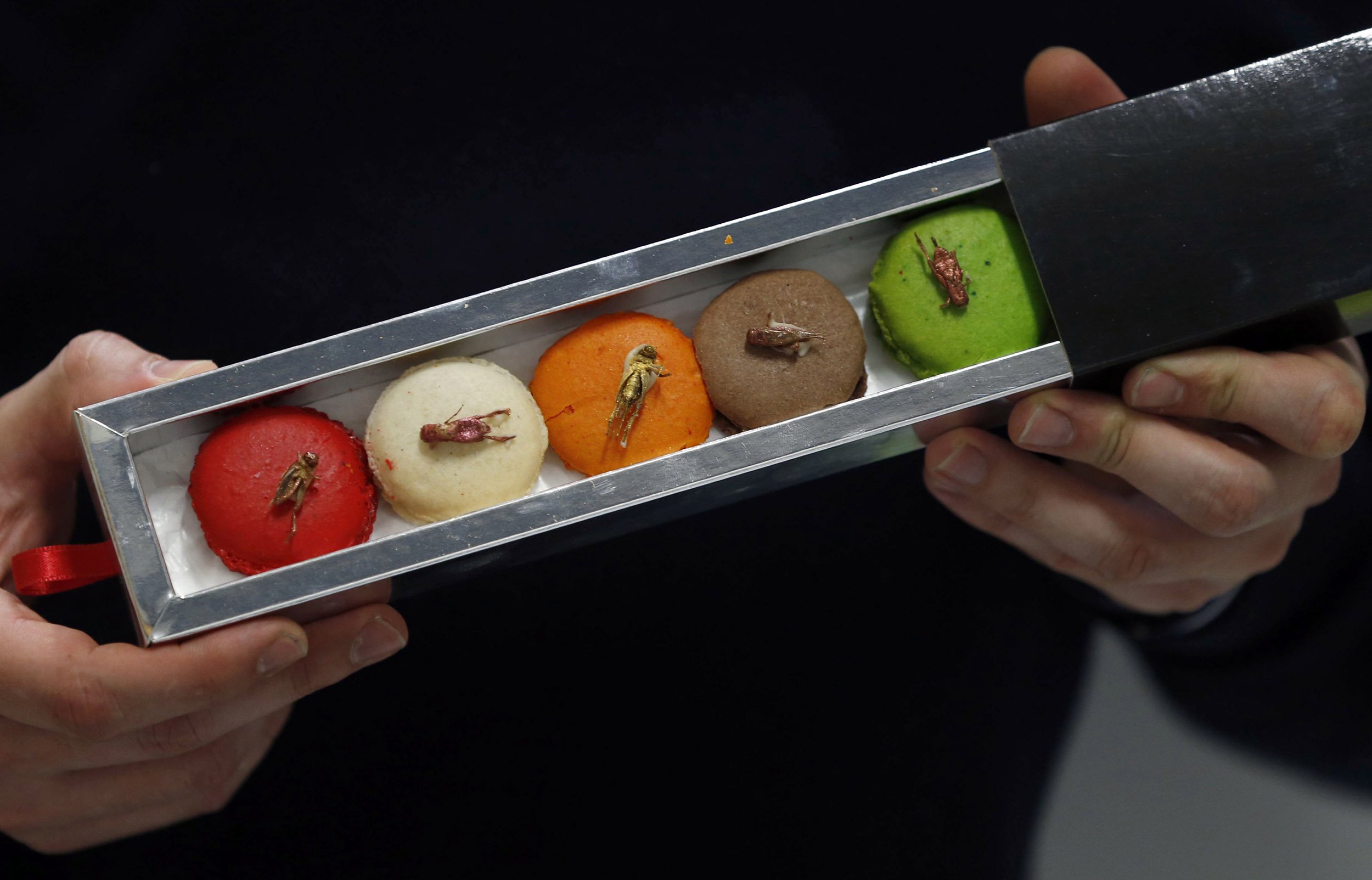 Those Incredible Edible Crickets Newsweek