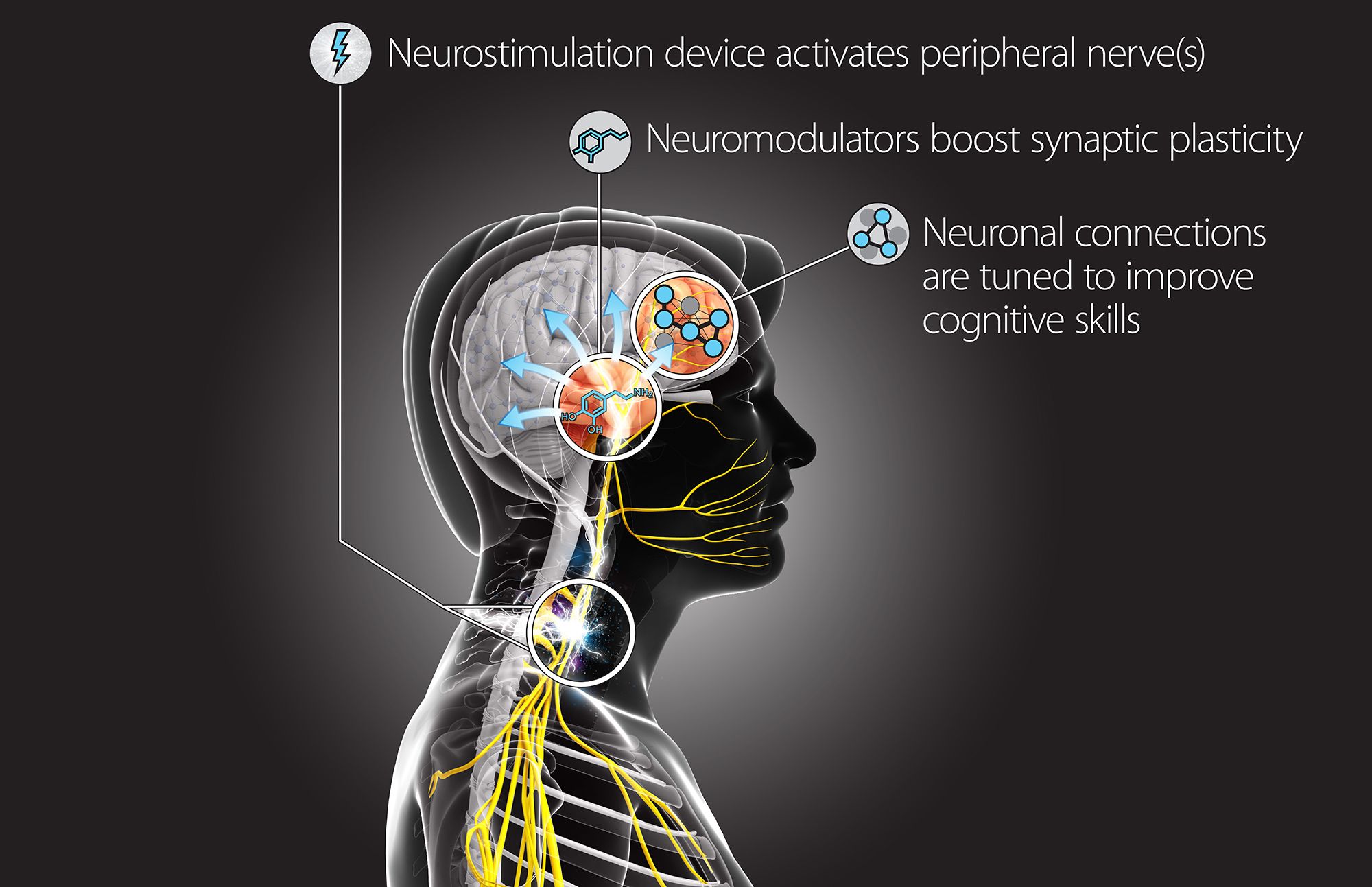 DARPA Wants to Hack Your Brain - Newsweek DARPA Wants to Hack Your Brain - Newsweek