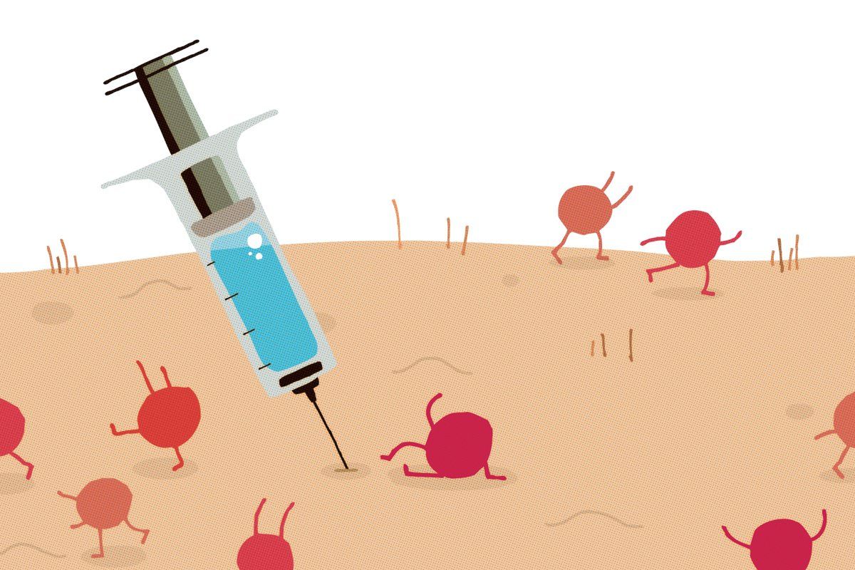 Measles Attacks! - Newsweek