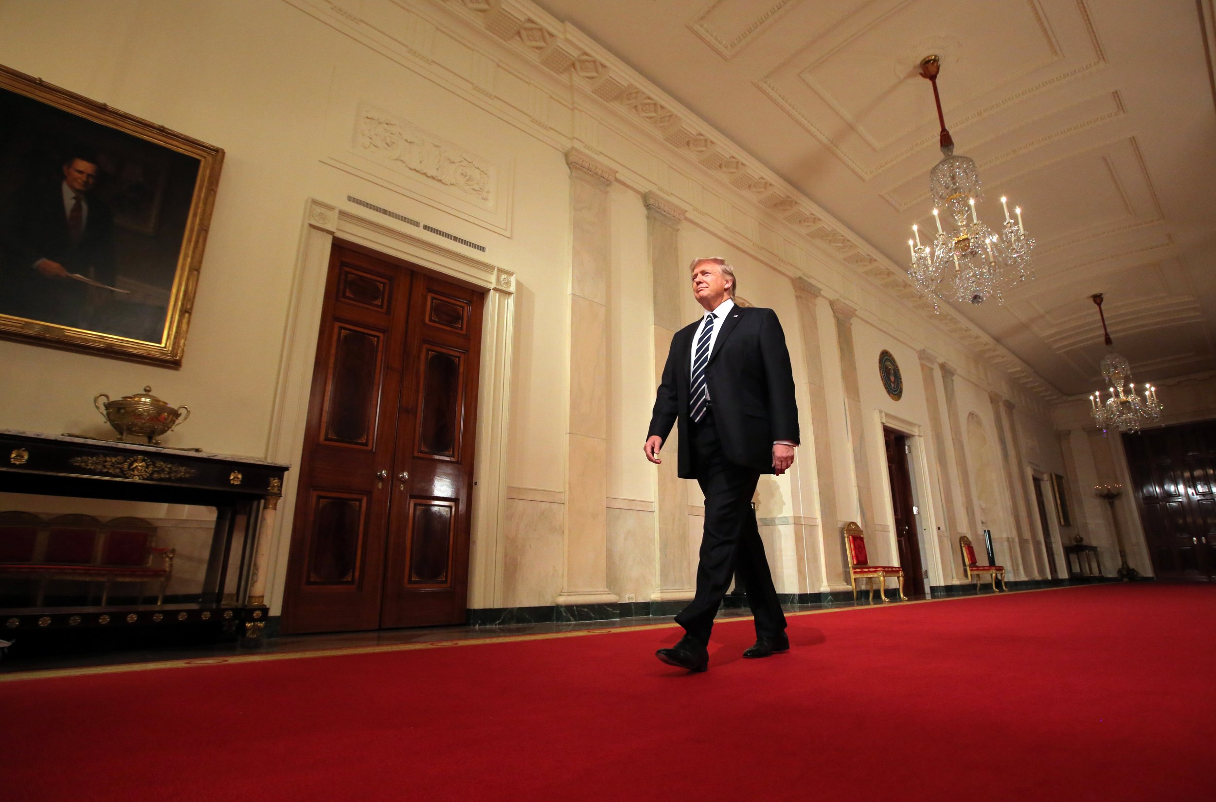 Ezra Cohen-Watnick: Inside the Rise of Trump's Invisible Man in the ...
