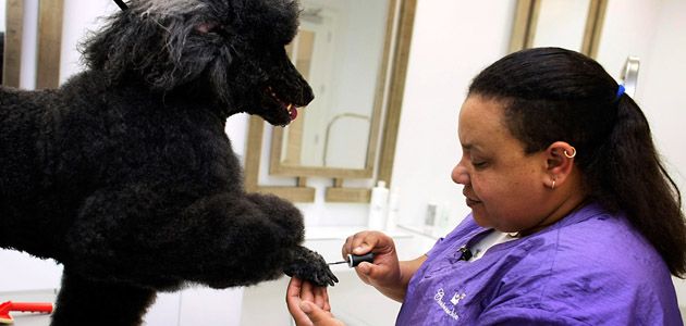 12 Secure Jobs for the Next Decade - Newsweek