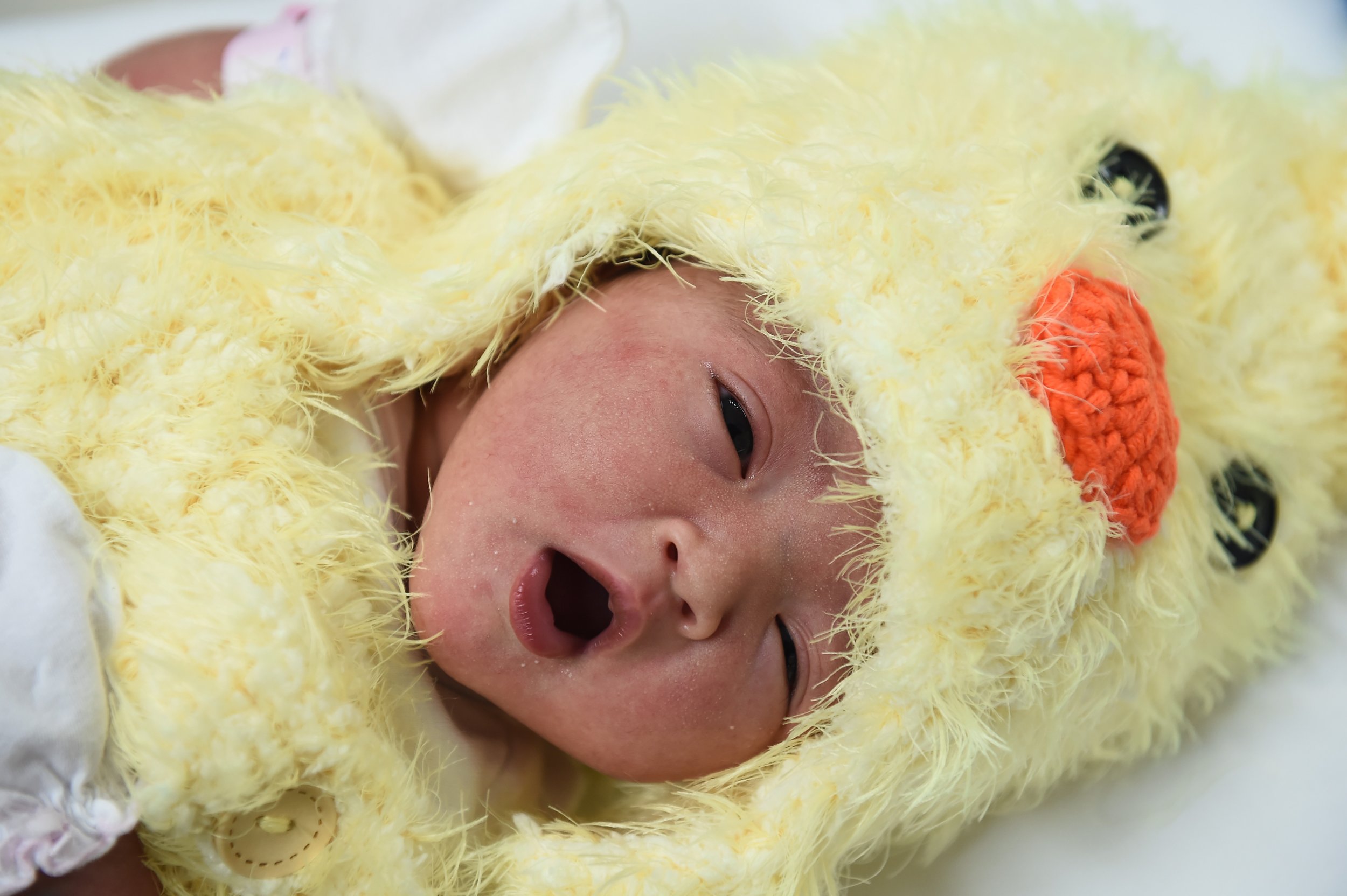 DNA Test Reveals If Your Baby Is Prone To 193 Medical Conditions Newsweek DNA Test Reveals If Your Baby Is Prone To 193 Medical Conditions Newsweek