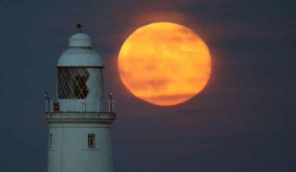 May Full Moon: What Is the Flower Moon and When to See It? - Newsweek