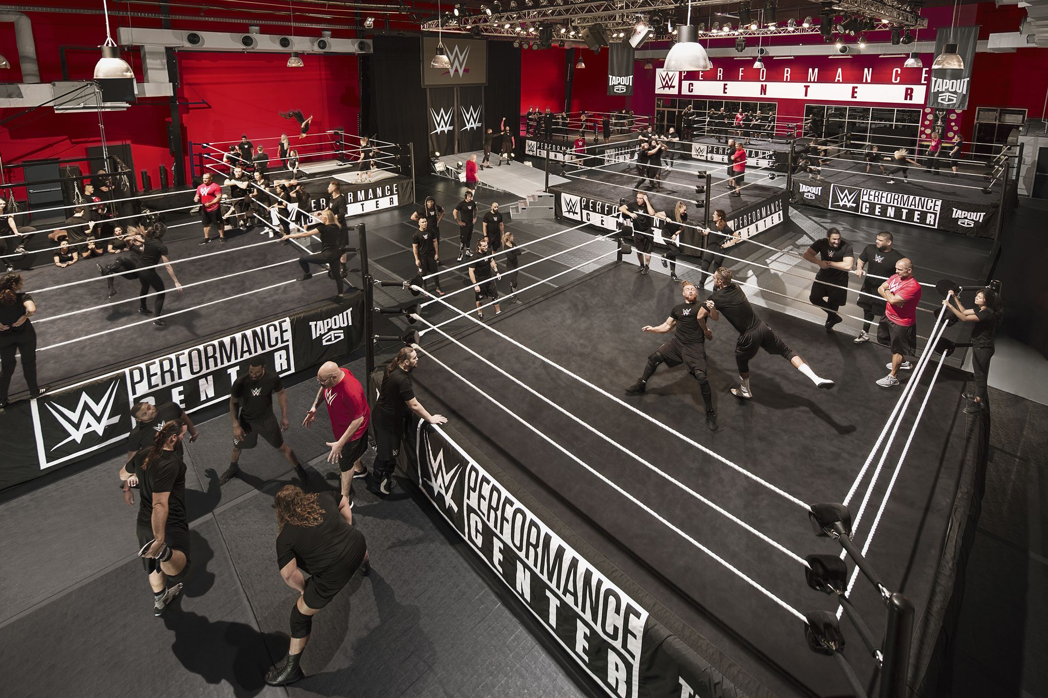 WWE Launches Performance Center Site to Encourage More Tryouts - Newsweek
